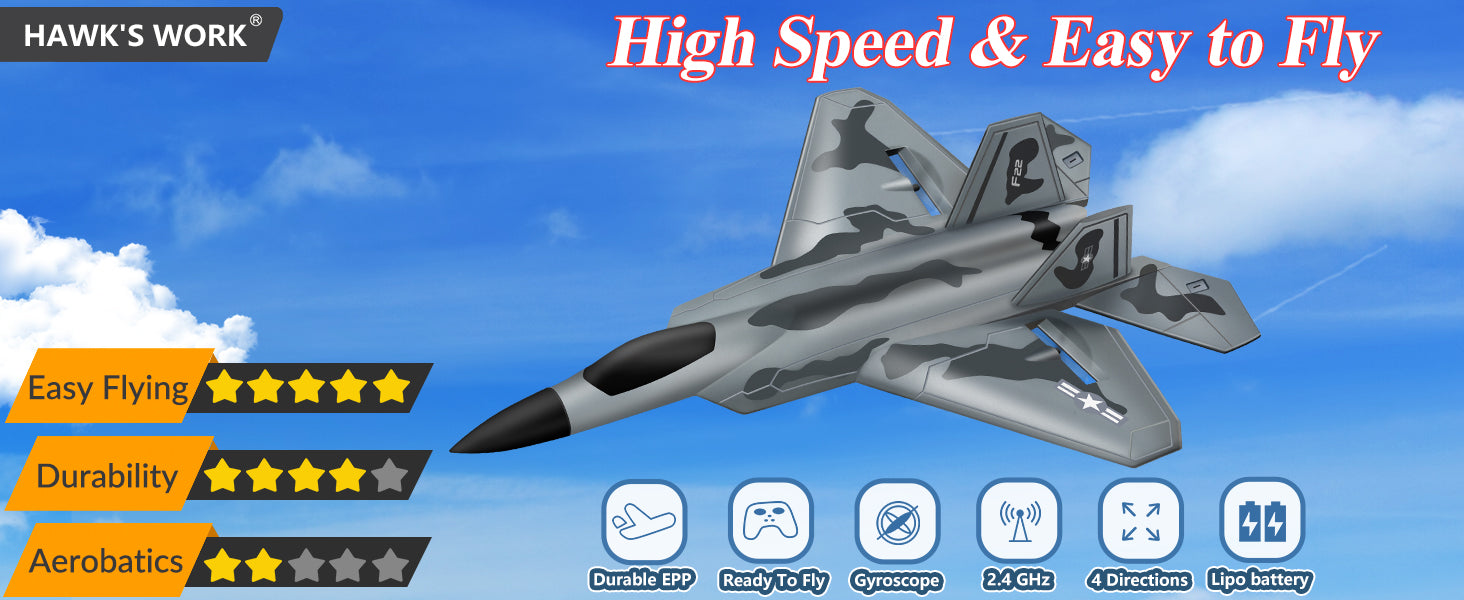 RC F22 Raptor, 2 Channel 2.4 GHz Remote Control Airplane, Easy to Fly ...