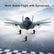 RC F22 Raptor, 2 Channel 2.4 GHz Remote Control Airplane, Easy to Fly ...